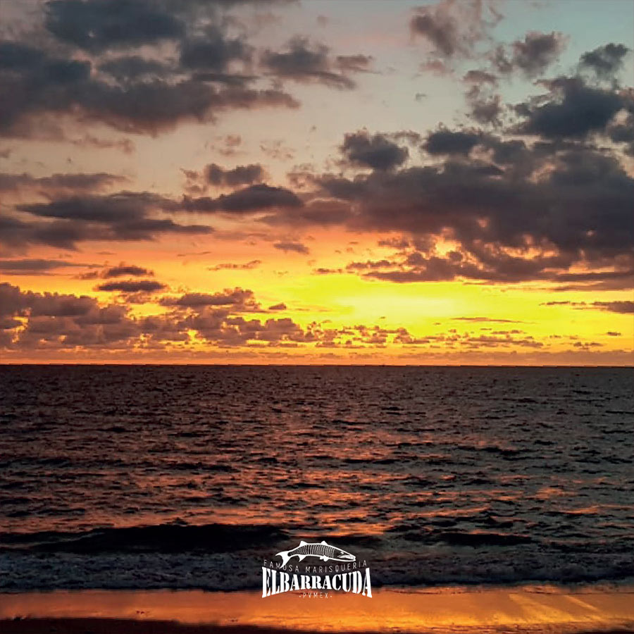 El Barracuda | Beach Club | Puerto Vallarta Beach Clubs